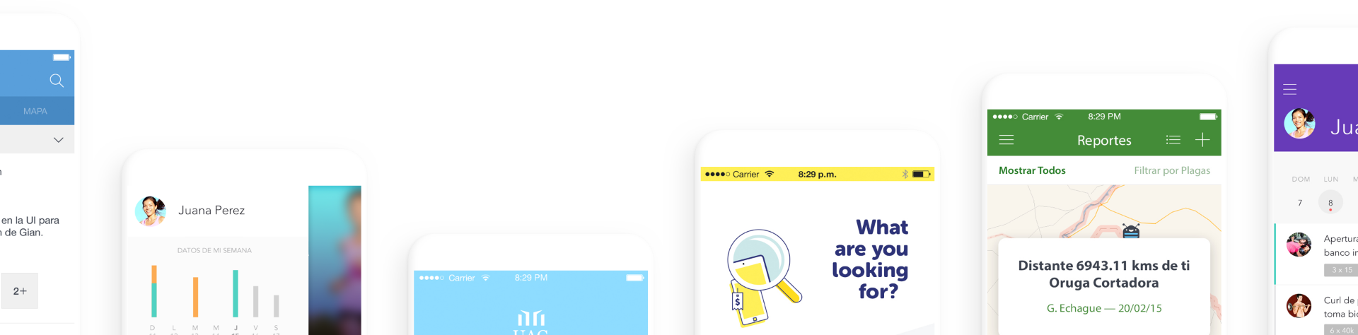 GeneXus Native Mobile Application Generator